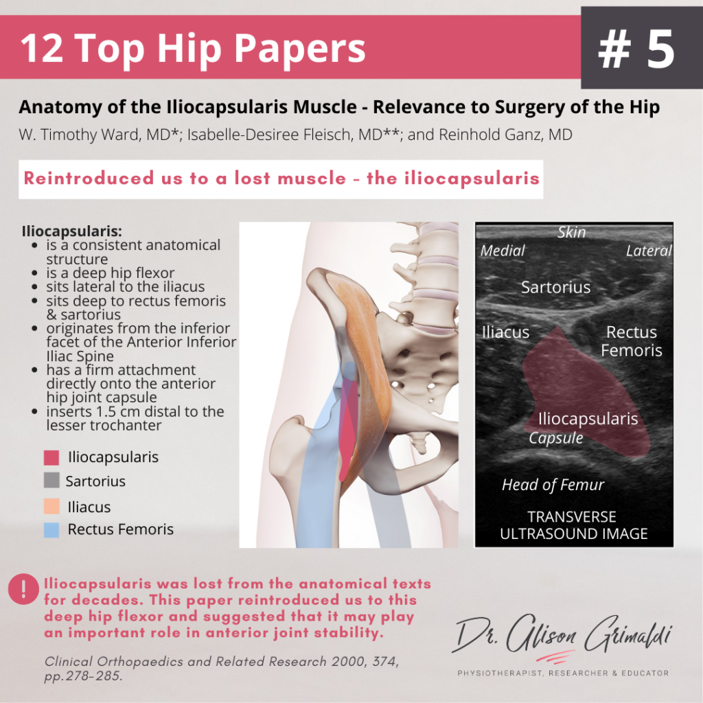 5 of 12 Top Hip Papers - Anatomy of the Iliocapsularis muscle