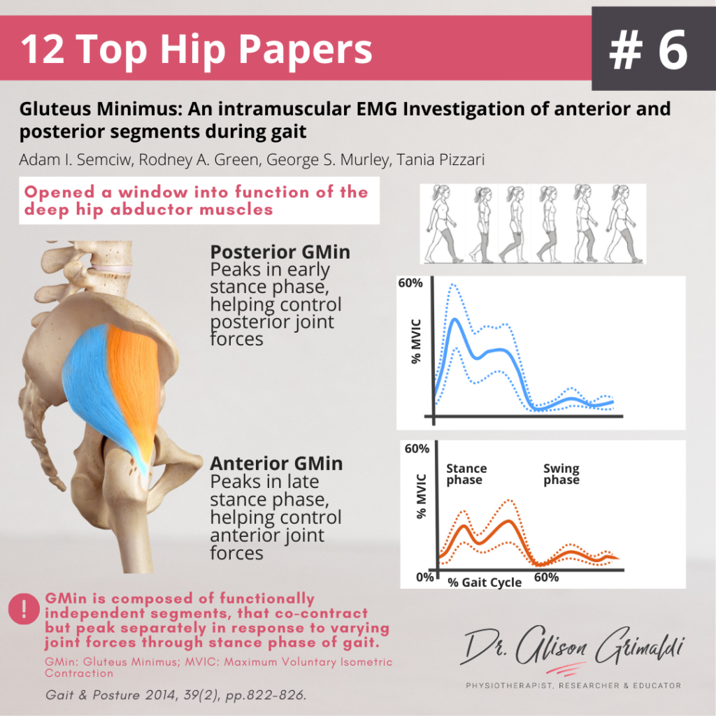 6 of 12 Top Hip Papers - Gluteus Minimus EMG in Gait