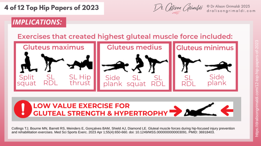 Gluteal muscle forces during hip exercises | 4 of 12 Top Hip Papers of 2023