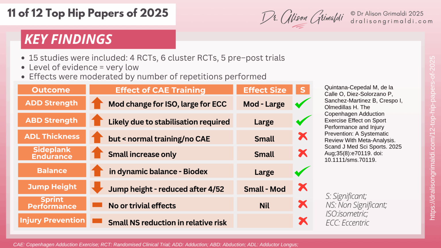 The Copenhagen Adduction Exercise | 11 of 12 Top Hip Papers of 2025