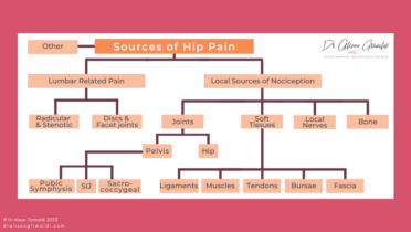 Differential Diagnosis of Hip Pain | Learn More