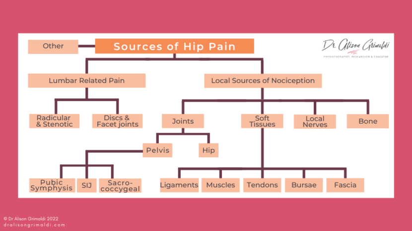 Differential Diagnosis of Hip Pain | Learn More