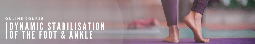 Dynamic Stabilisation of the Foot and Ankle | Dr Alison Grimaldi