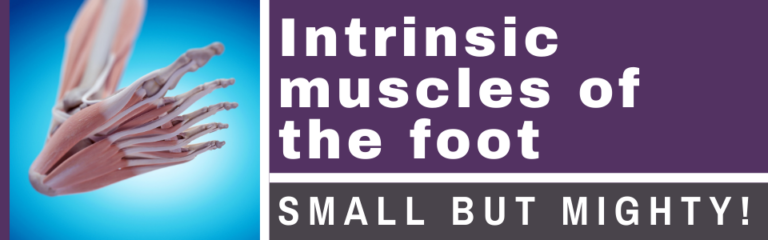 Intrinsic muscles of the foot – small but mighty! | Find out more