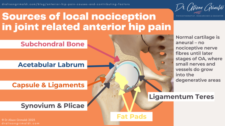 Anterior Hip Pain: Causes and contributing factors | Find out more