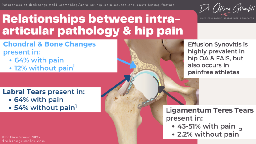 Anterior Hip Pain: Causes and contributing factors | Find out more