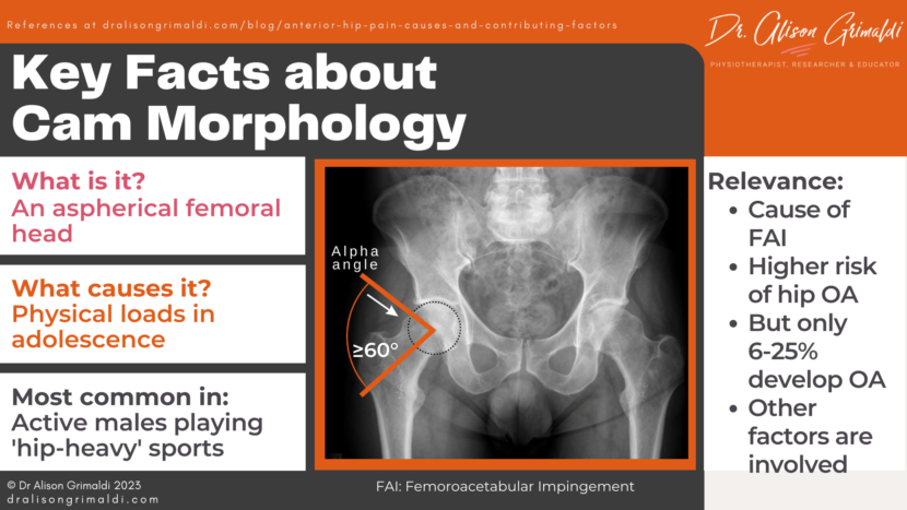 Anterior Hip Pain: Causes and contributing factors | Find out more