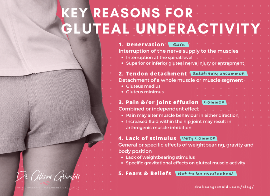 Gluteal Underactivity – the quest for Goldilocks Glutes - Part 1 | Dr ...