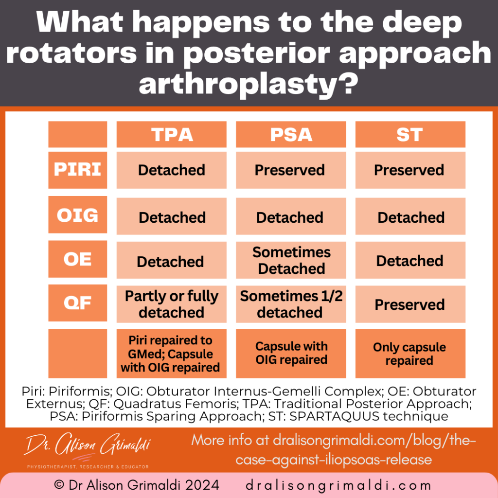 What happens to the deep external rotators after hip replacement | Find ...