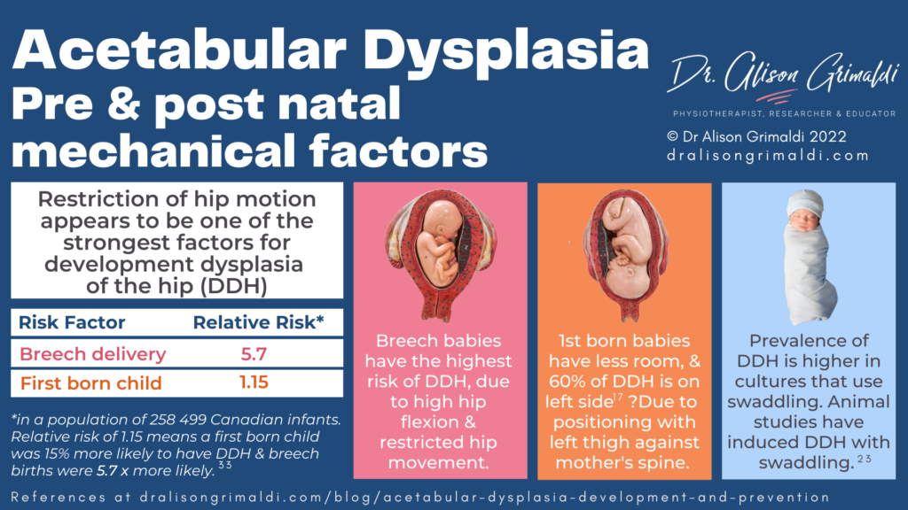 Acetabular Dysplasia: Development and Prevention | Find out more