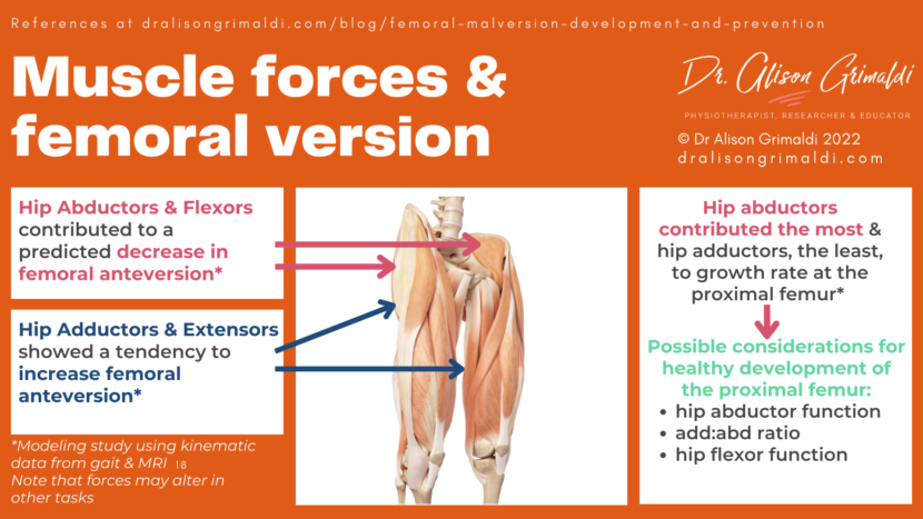 Femoral Malversion: Development and Prevention | Find out more