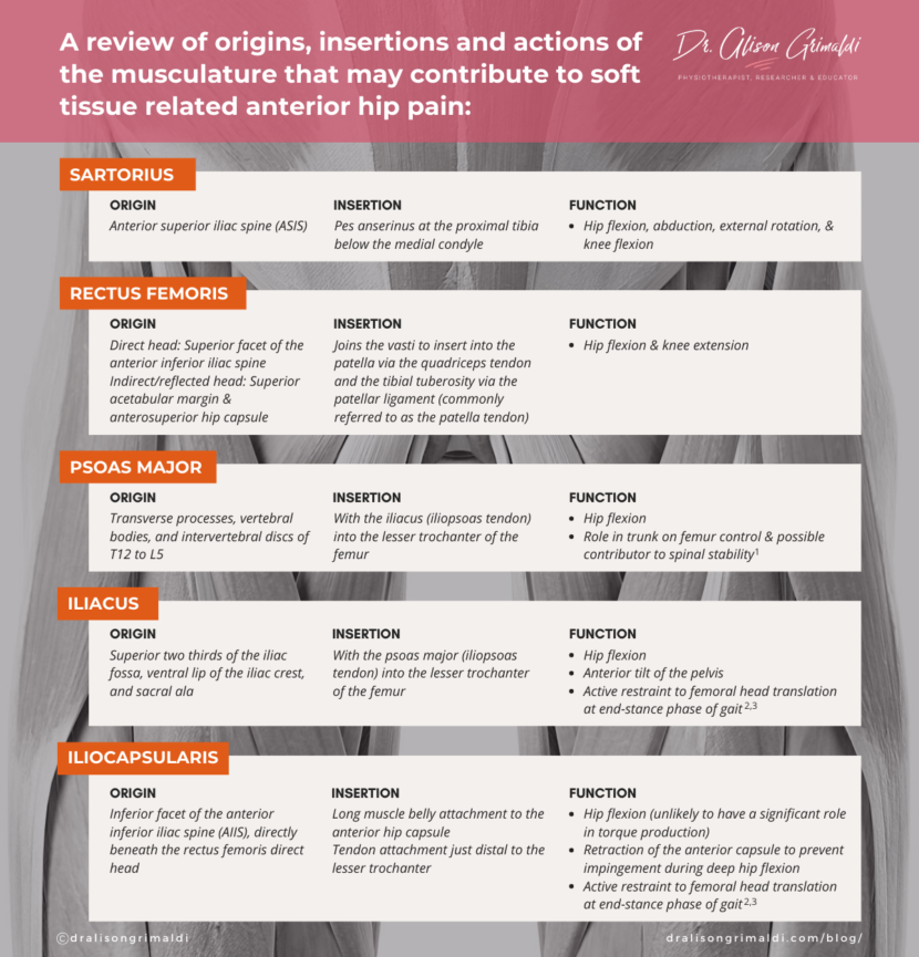 Differential Diagnosis of Anterior Hip Pain - Soft Tissue | Dr Alison ...