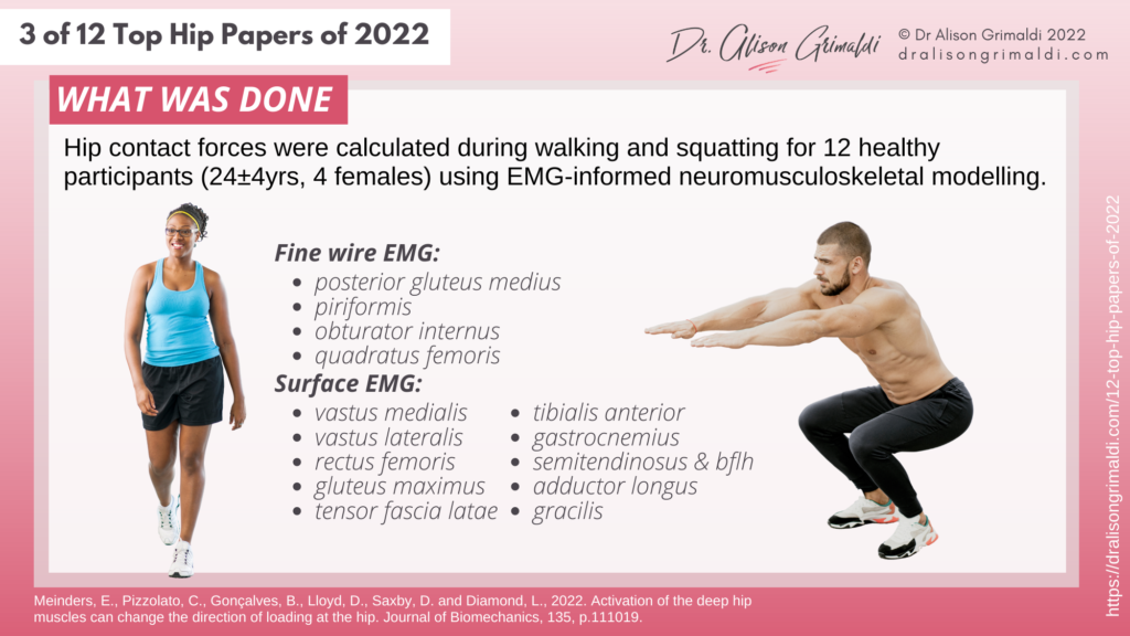 Deep hip muscles & joint loading | 3 of 12 Top Hip Papers of 2022