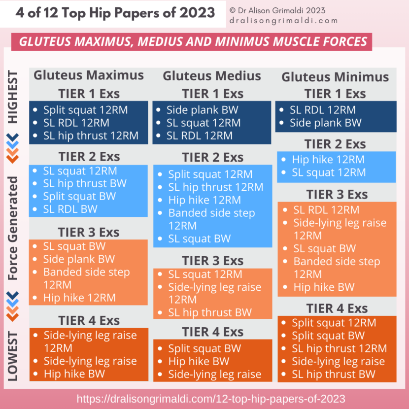 Gluteal muscle forces during hip exercises | 4 of 12 Top Hip Papers of 2023